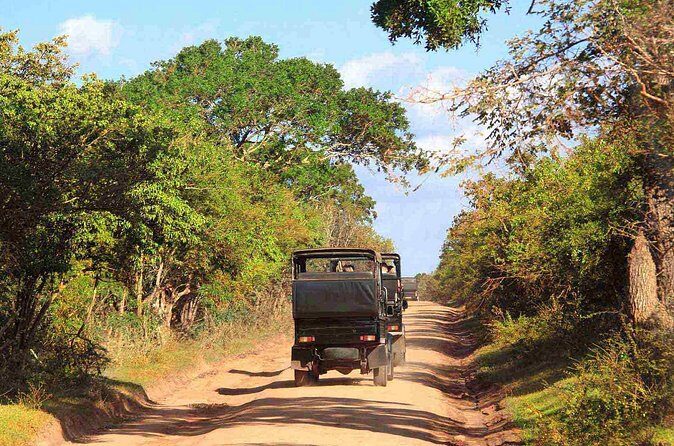Wilpattu National Park Private Safari From Dambulla & Sigiriya - Frequently Asked Questions
