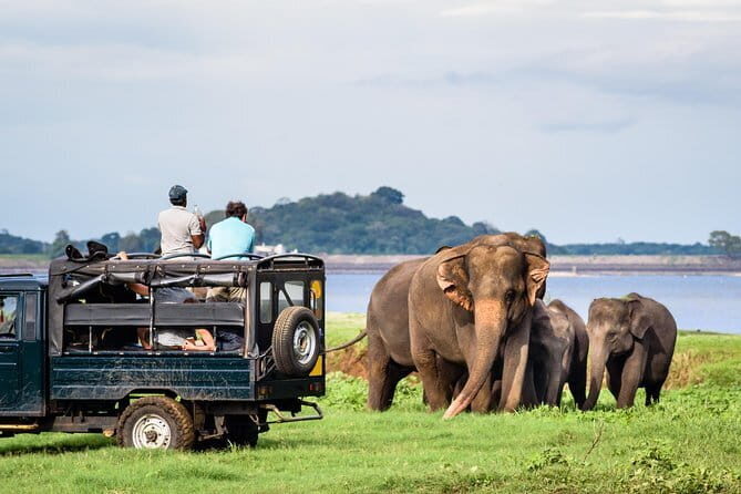 Wilpattu National Park Safari, Budget Tour from Colombo - Who Would Benefit Most from This Tour?