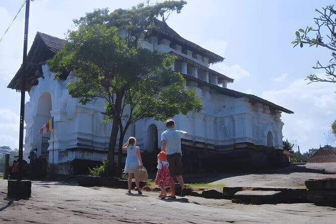 Wilpattu National Park Safari from Kandy - Cost and Value: Is It Worth It?