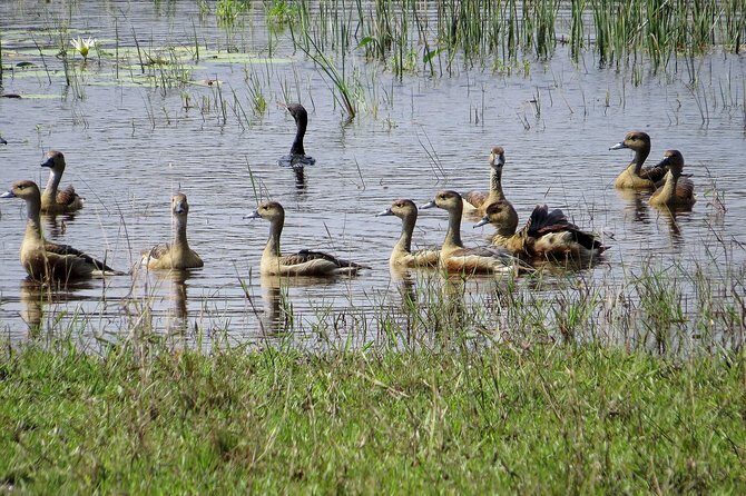 Wilpattu National Park Safari from Negombo - Key Points