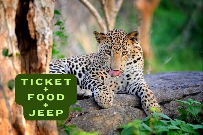 Wilpattu National Park Safari Jeep Tour - The Sum Up