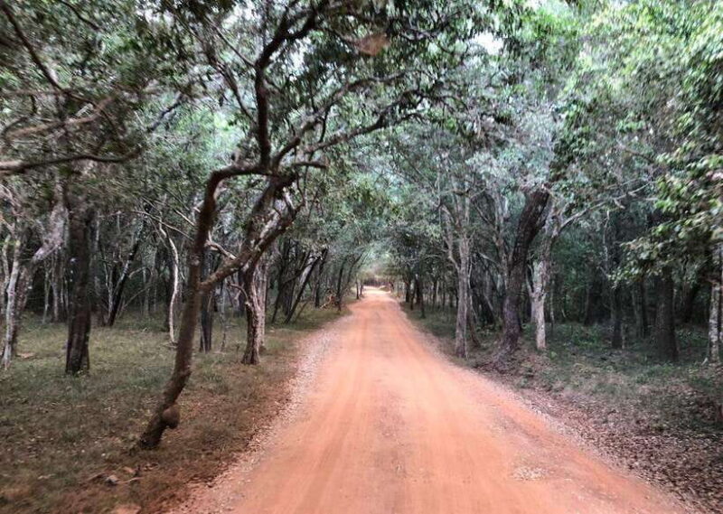 Wilpattu National Park Safari - Key Points: