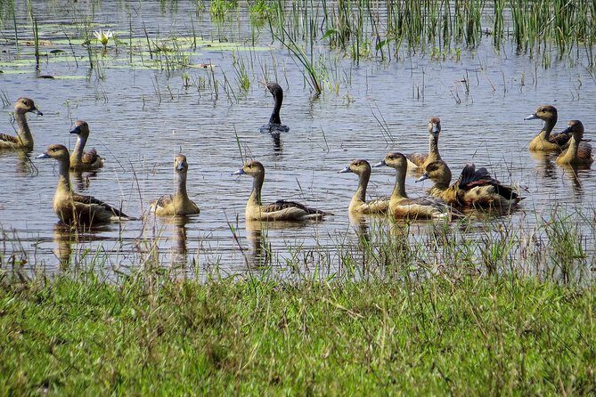 Wilpattu National Park Safari with Naturalist - FAQ