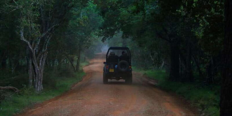 Wilpattu National park with Safari jeep & Entrance ticket - Key Points