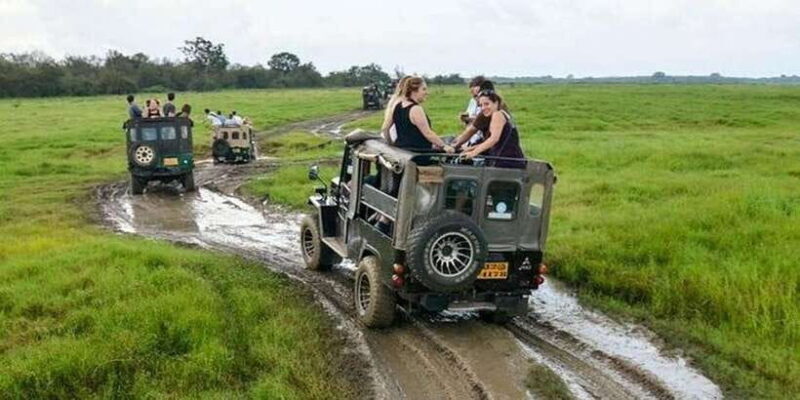 Wilpattu National park with Safari jeep & Entrance ticket - Practical Tips and Considerations