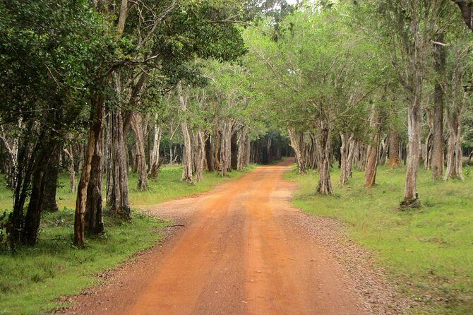 Wilpattu Safari Drive From Trincomalee, Nilaveli & Suburbs - The Sum Up