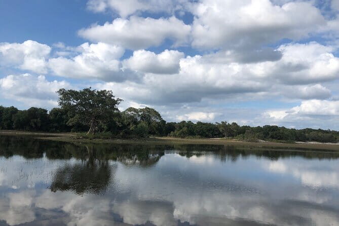 Wilpattu Safari tour from Negombo - A Closer Look at the Wilpattu Safari Experience