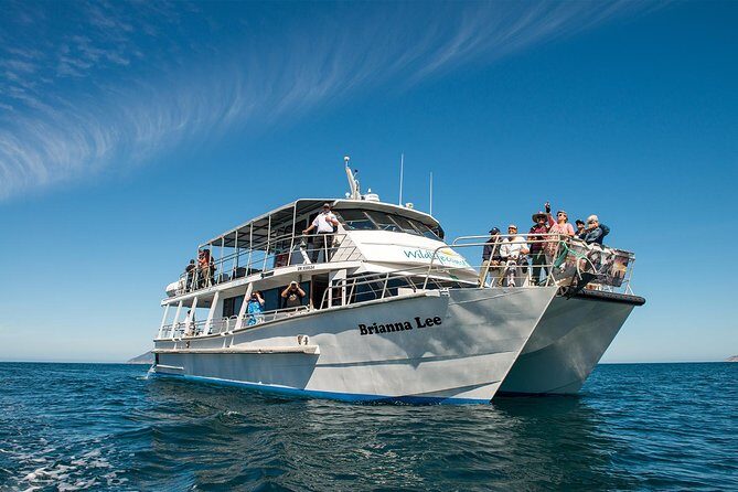 Wilsons Prom Whale Cruise - Practical Details and Tips for the Trip