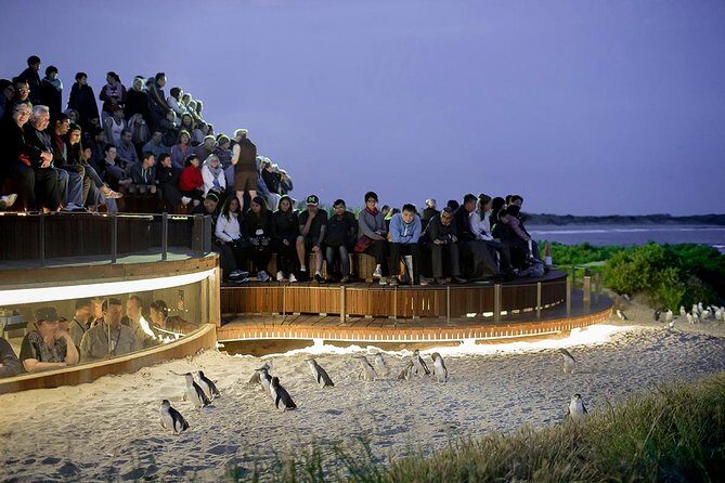 Wilsons Prom Whale Cruise - Why This Tour Is Worth Considering