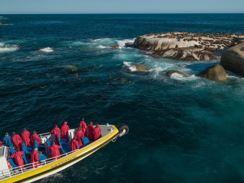 Wilsons Promontory: Afternoon Wilderness Cruise - The Sum Up: Why It’s a Good Choice