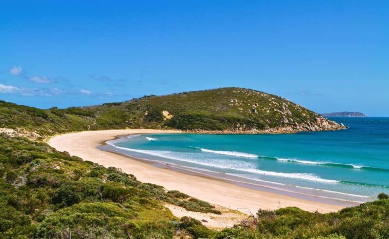 Wilson's Promontory National Park Day Tour From Melbourne - Final Thoughts