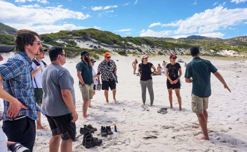 Wilson's Promontory National Park Eco Tour From Melbourne - The Value of a Guided Small-Group Tour