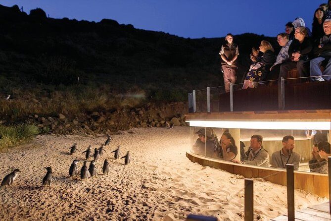 Wilson's Promontory & Phillip Island - 'Prom & Penguins' Tour - The Sum Up