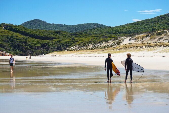 Wilson's Promontory Small Group Eco Tour from Melbourne - The Sum Up