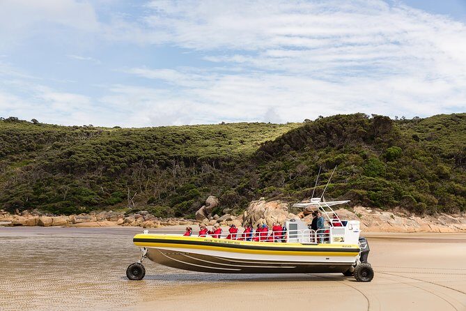 Wilsons Promontory Wilderness Cruise from Tidal River - Analyzing the Value