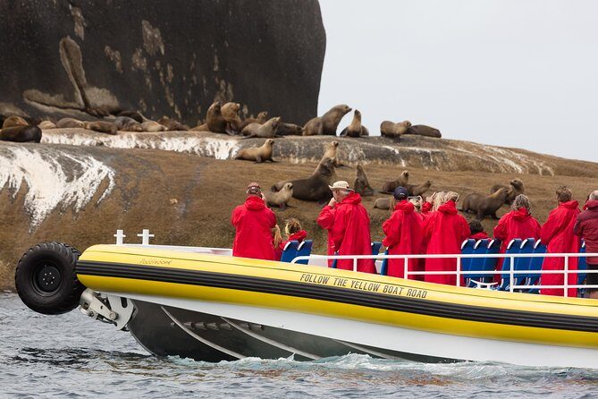 Wilsons Promontory Wilderness Cruise from Tidal River - Who Will Love This Tour?