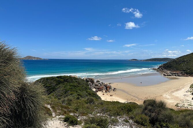 Wilsons Promontory Wilderness Day Tour - Mount Bishop and Hikes: The Heart of the Adventure