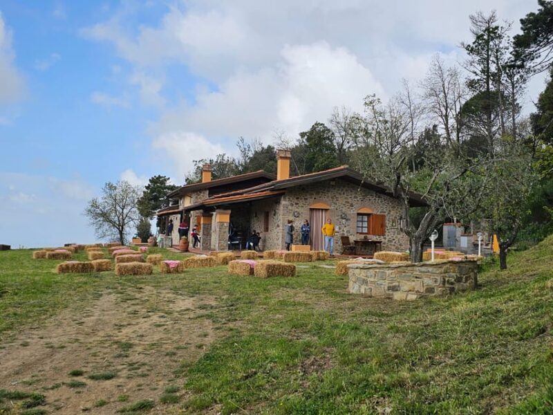 Win near Florence lunch or dinner in a traditional Tuscan farmhouse - Introduction: The Allure of Tuscan Food & Scenery