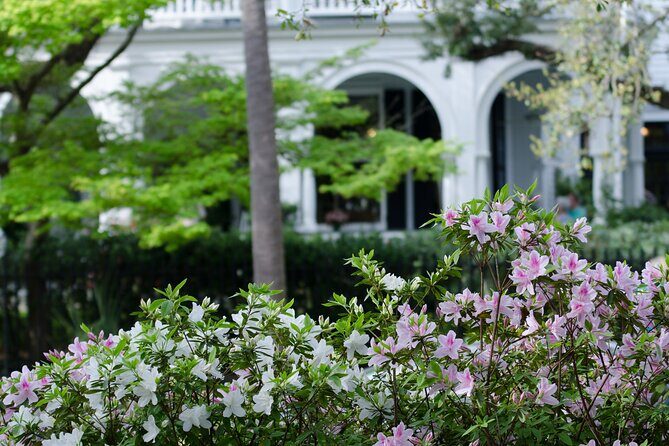 Window into American History: A Self-guided Charleston Audio Tour - Who Should Consider This Tour?