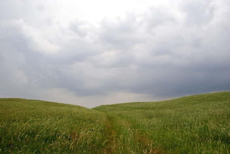 Windows Desktop Theme - Poppy Fields from Tashkent - A Closer Look at the Experience