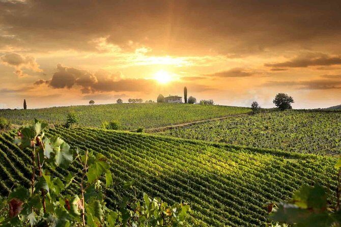 Wine and Cheese Tastings Southern Tuscany ShoreExcursion from Civitavecchia Port - Detailed Breakdown of the Itinerary