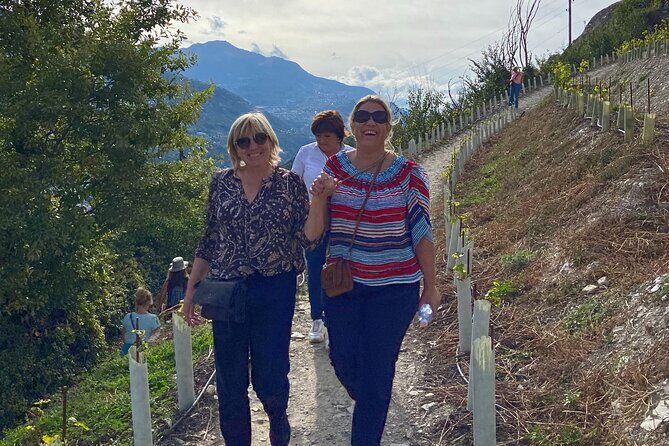 Wine and Dine Vineyard Walk in Sion - Practical Details and Considerations