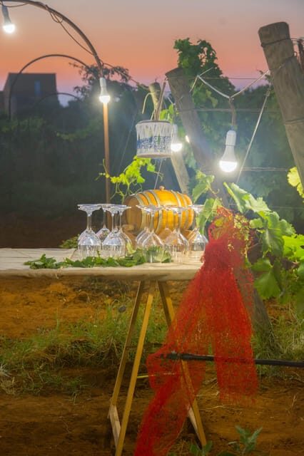 Wine and food at sunset - The Heart of the Experience: Viniculture and Sunset in Sicily