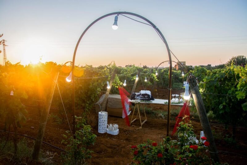 Wine and food at sunset - Practical Details and Value