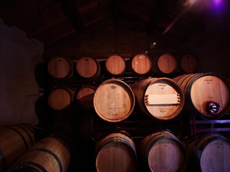 Wine and Food Pairing Tasting Las dos Antiguas- Bodega Artesanal Segovia - Authenticity and Value: Why It Stands Out
