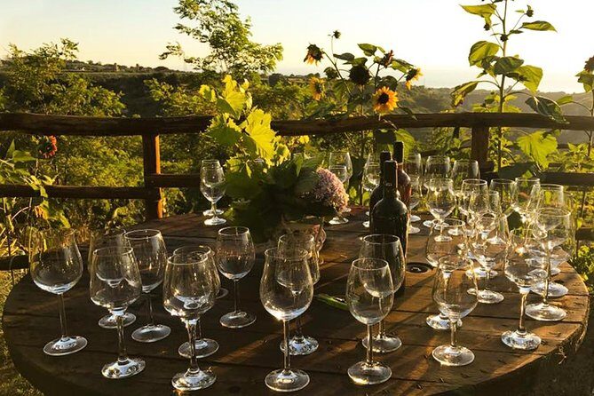 Wine and food tasting - A Genuine Taste of Calabria: Wine and Food Tasting Tour in Tropea