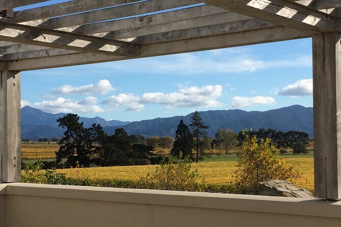 Wine and Gourmet Picnic Experience of Marlborough - Practical Details That Matter