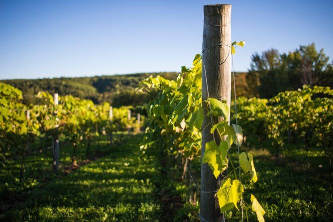 Wine and Lunch Escape - Key Points