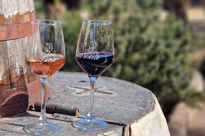 Wine and Tapas Tasting Tour from Alicante, Private Van - An Honest Look at the Wine and Tapas Tasting Tour from Alicante