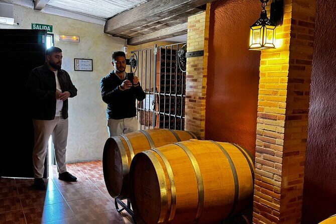 Wine and Tapas Tasting Tour from Alicante, Private Van - Final Thoughts