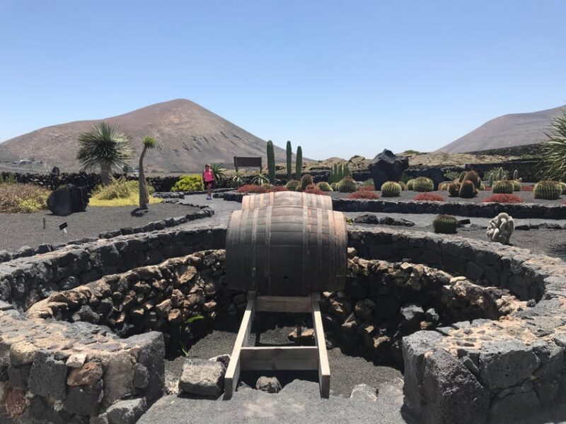Wine and volcan private tour - Who Would Love This Experience?