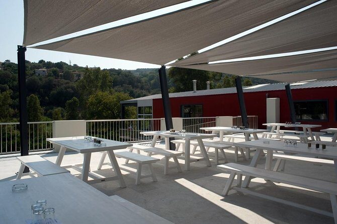Wine, Beer, Olive Oil Tasting Private Tour (price per group of 6) - The Sum Up