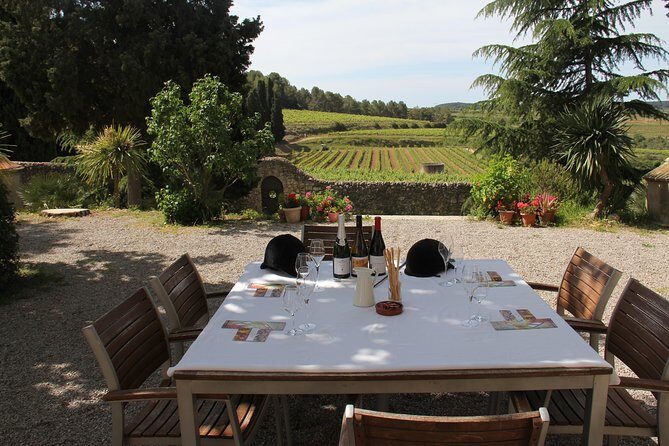 Wine & Cava Penedes Tour: Wineries, Wine Tasting and Tapas - A Guide to the Wine & Cava Penedes Tour: Wineries, Wine Tasting, and Tapas