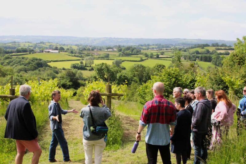 Wine & Cheese in the Somerset Valleys - with Michelin lunch - What Makes This Tour Stand Out: The Practical Edge