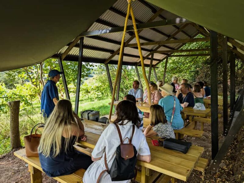 Wine & Cheese in the Somerset Valleys - with Michelin lunch - Who This Tour Is Best For