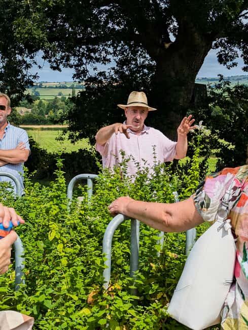Wine & Cheese in the Somerset Valleys - with Michelin lunch - Final Thoughts