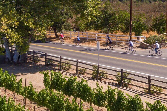 Wine Country E-Bike Guided Tour - w/o Lunch - What to Expect From the Experience