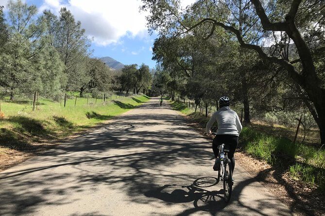 Wine Country Half-Day Bike Tour from Solvang - w/o Lunch - An honest look at the Wine Country Half-Day Bike Tour from Solvang
