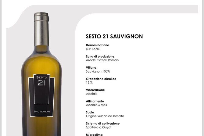 Wine Education Course in Rome with Tasting - The Itinerary: What Does the 3 Hours Look Like?