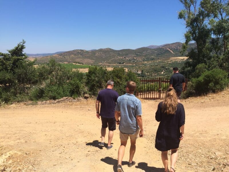 Wine Experience around Cagliari - What You Can Expect at Each Stop