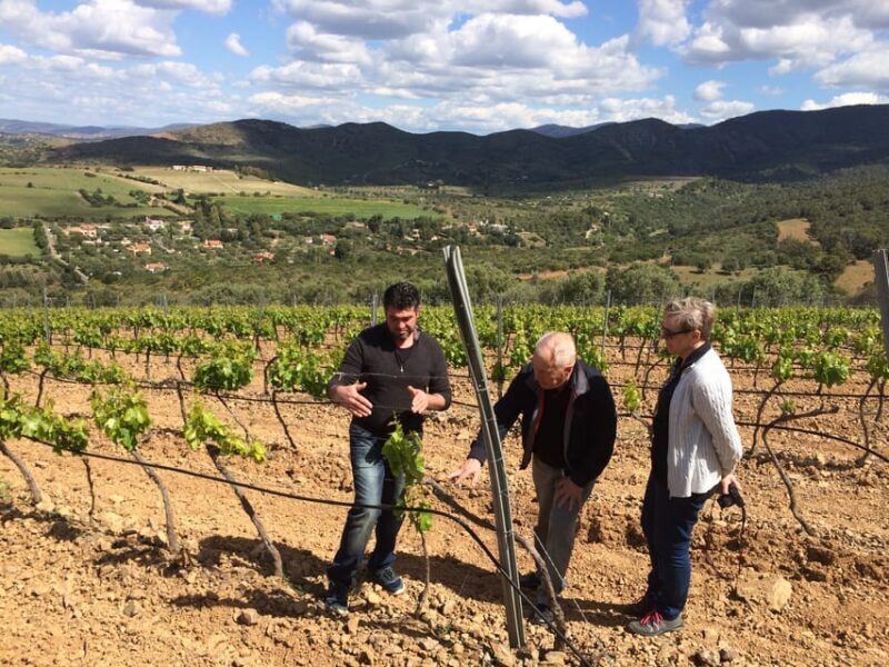 Wine Experience around Cagliari - FAQ
