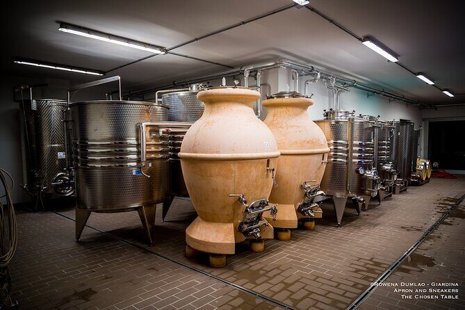Wine Experience at Torre Bisenzio Winery - An Introduction to Torre Bisenzio Winery Experience