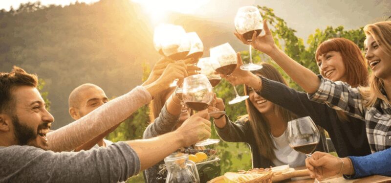 Wine Experience Colli Bolognesi - Afternoon tour - Exploring the Bolognese Hills: A Deep Dive