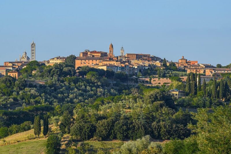 Wine Experience Colli Bolognesi - Afternoon tour - Frequently Asked Questions (FAQs)
