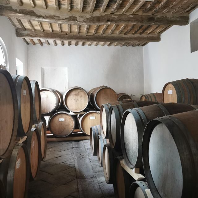 Wine Experience in an Organic Chianti Winery - Authentic Reviews from Participants