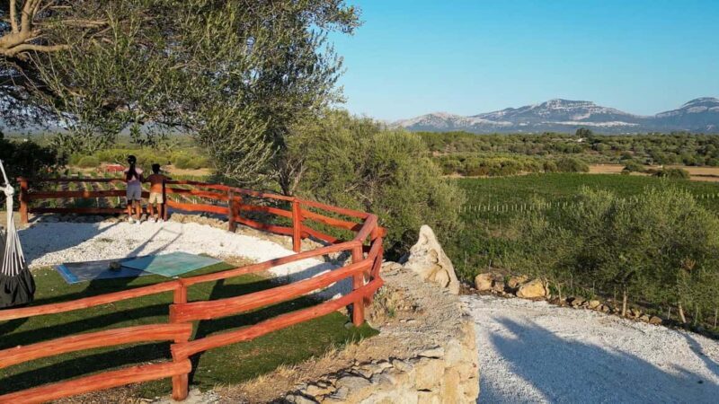 Wine experience in Dorgali in the heart of the Cannonau Classic Zone - Key Points